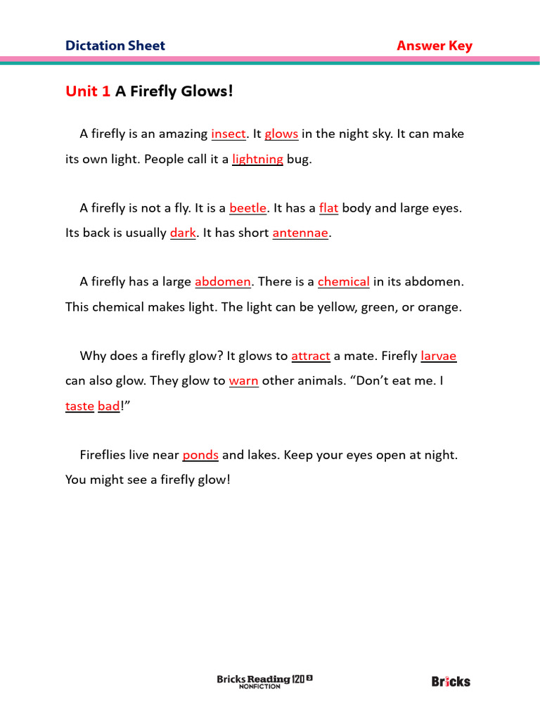 Bricks Reading 120 Nonfiction - L3 - Dictation Sheet - Answer Key | PDF | Space Suit | Breads