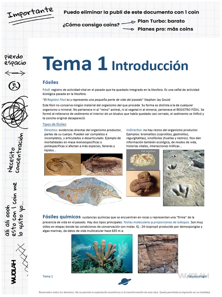 Tema-1 - Fosiles | PDF | Homología (biología) | Fósil