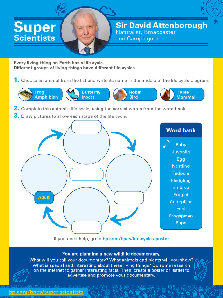 3_David_Attenborough_Worksheet | PDF