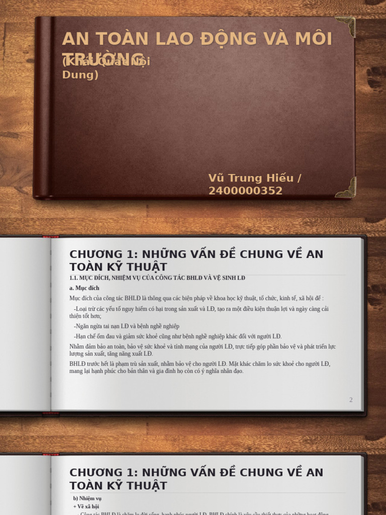 Vu Trung Hieu 2400000352 | PDF