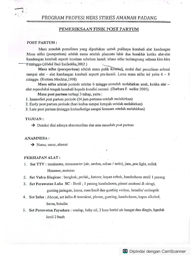 Pemeriksaan Postpartum | PDF