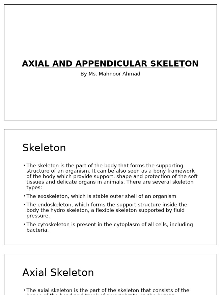 Axial vs. Appendicular Skeleton Overview | PDF | Skeleton | Limbs (Anatomy)