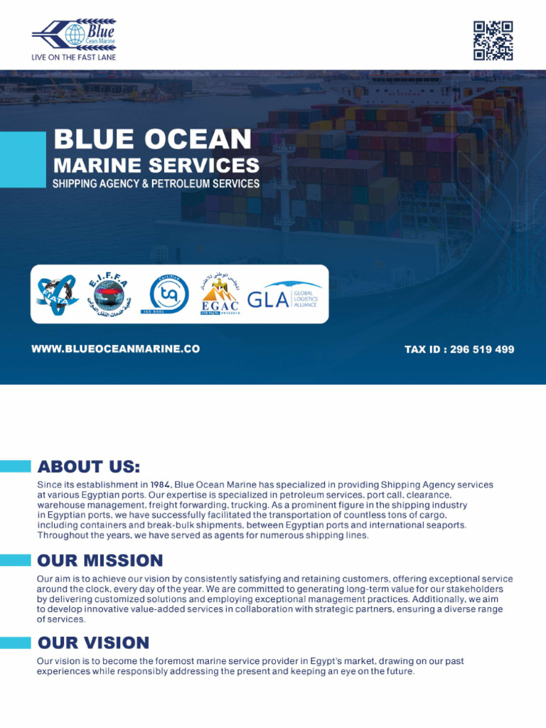 BLUE OCEAN SHIPPING Profile Services | PDF