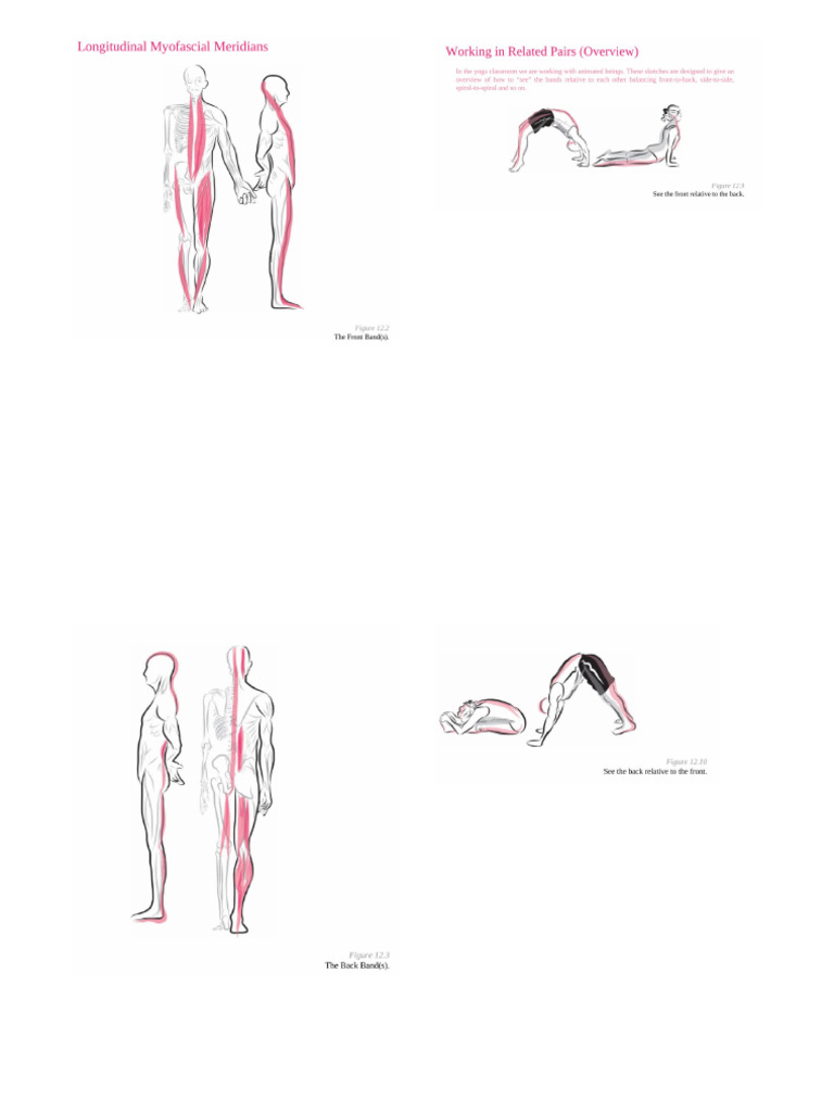 Myofascial Stretch Lines | PDF
