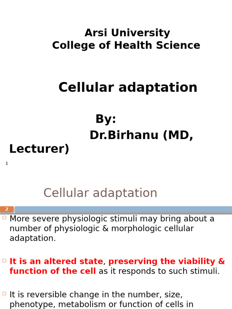 3.cellular Adaptation | PDF | Atrophy | Epithelium