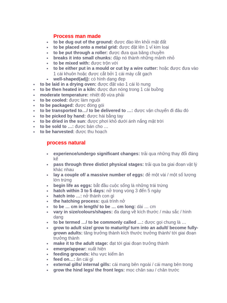 Process Man Made | PDF