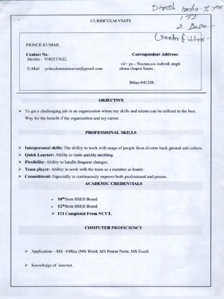 s2065068 Prince Kumar Cv | PDF