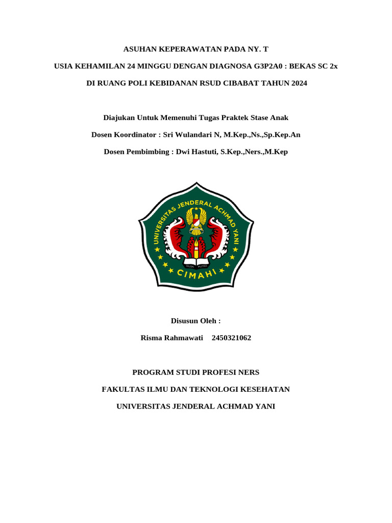 Asuhan Keperawatan Kehamilan 24 Minggu | PDF