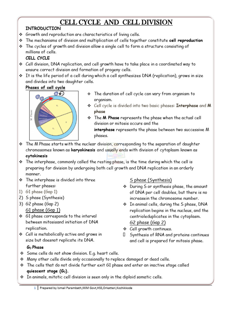 Hsslive-xi-botany-cell Cycle and Cell Division-6 | PDF | Meiosis | Mitosis