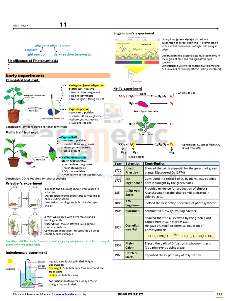 Hsslive - INSTANT NOTES +1 - Photosynthesis (Detailed) | PDF ...