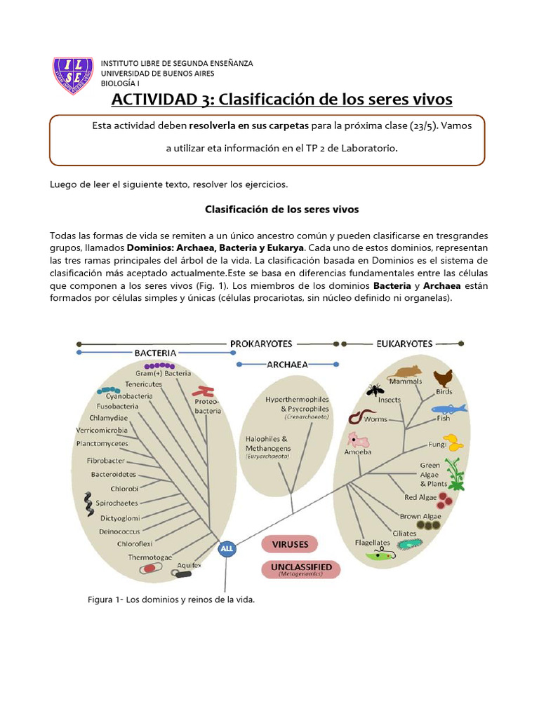 Clasificación de Seres Vivos | PDF | Eucariotas | Plantas