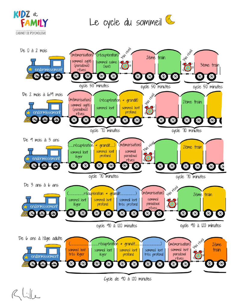 Cycle Du Sommeil Couleurs Kidz | PDF
