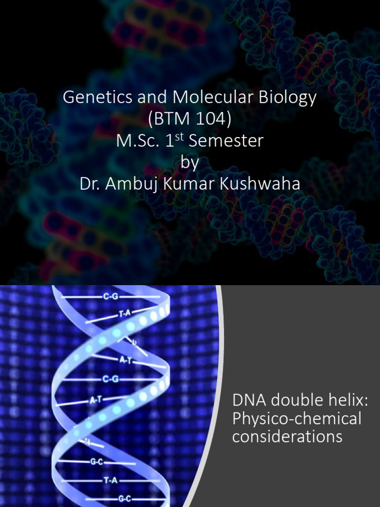 DNA Structure and Conformations Explained | PDF | Dna | Nucleic Acid ...