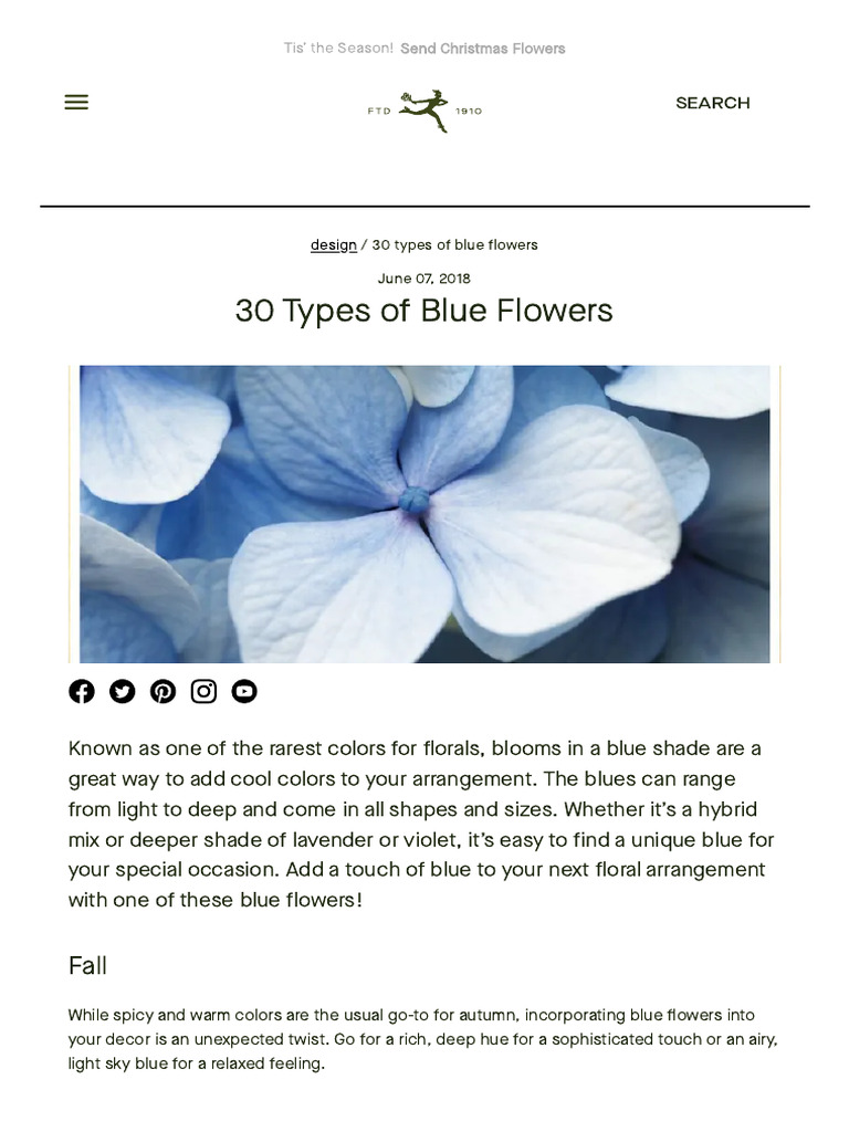 30 Types of Blue Flowers -FTD | PDF | Flowers | Flower Bouquet