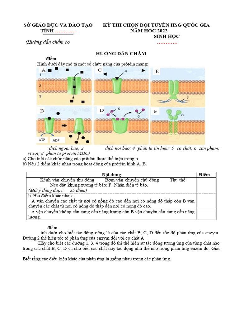 Sinh học_HDC_2022 | PDF
