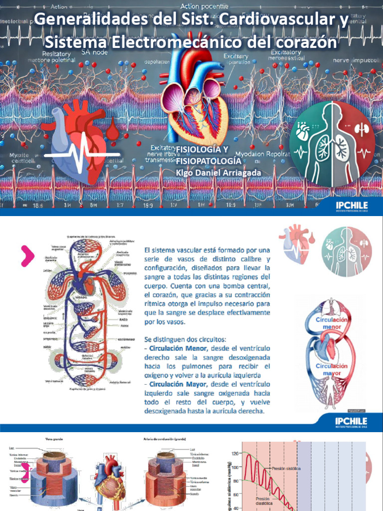 U2.1 Generalidades Del Sist. Cardiovascular y Sistema Electromecánico Del Corazón | PDF ...