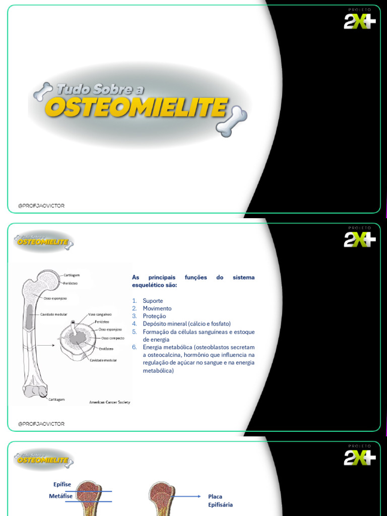 LIVE 110 CUIDADOS COM A OSTEOMIELITE | PDF | Osso | Esqueleto