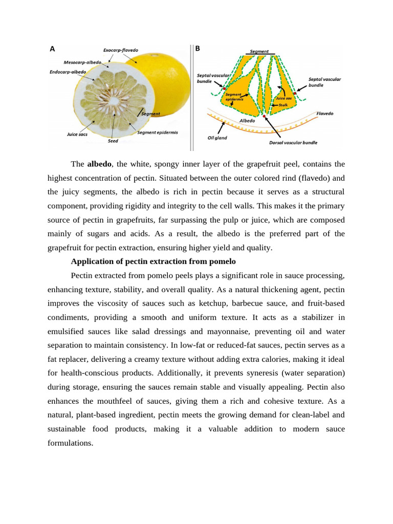 Pectin extraction | PDF | Filtration | Precipitation (Chemistry)
