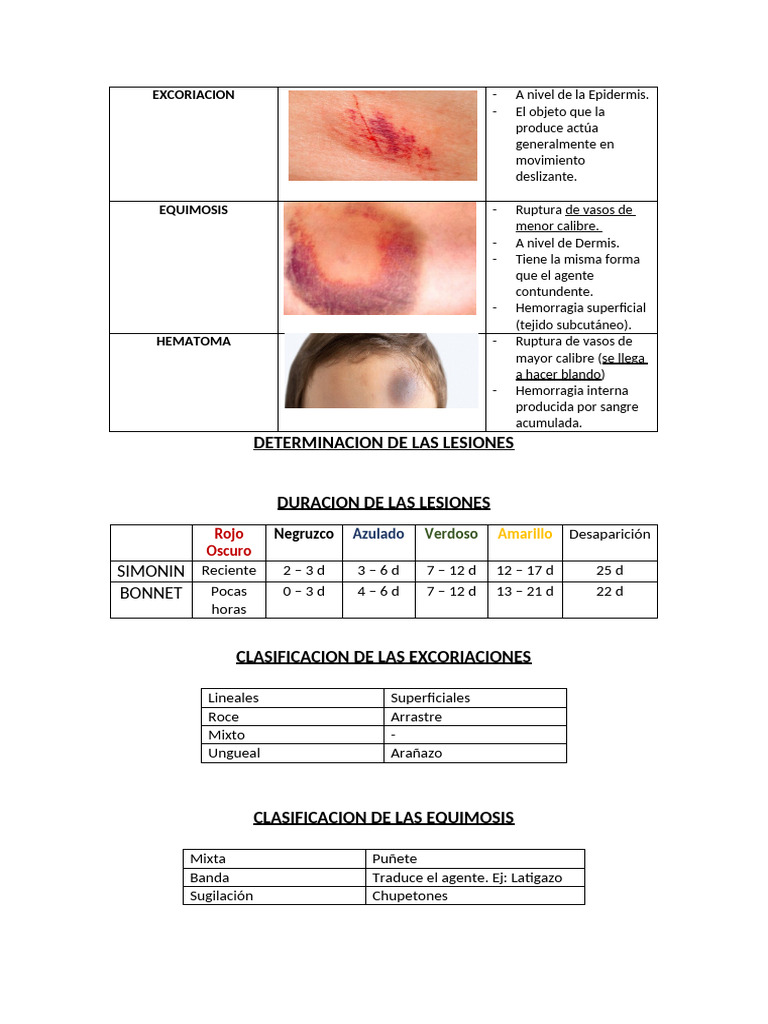 Equimosis y Excoriaciones | PDF