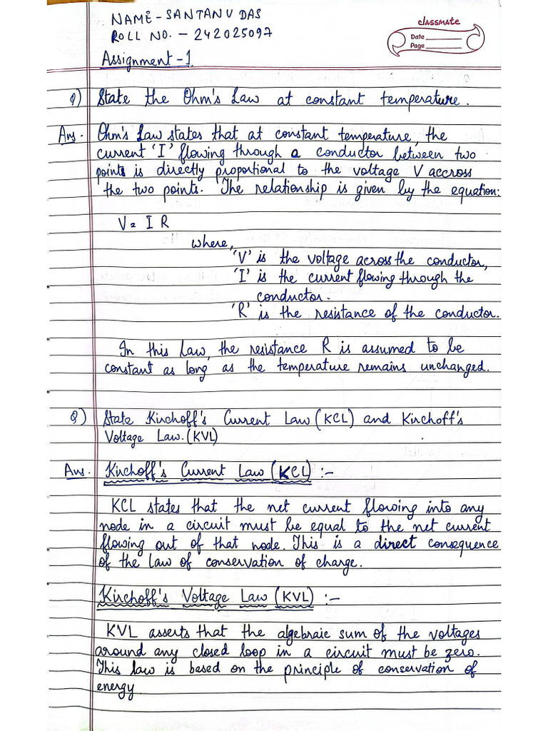 Bee Assignment | PDF