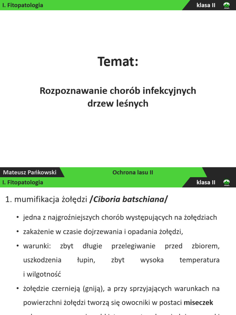Choroby Drzew Lesnych | PDF