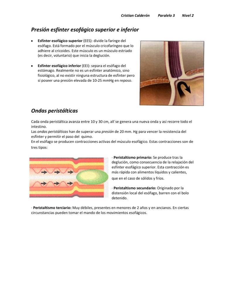 Presión Esfínter Esofágico Superior e Inferior | PDF | Salud y bienestar