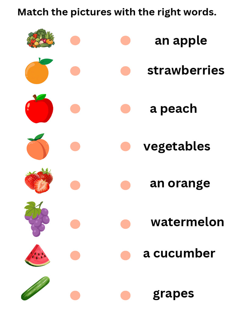 Match The Pictures With The Right Words. | PDF