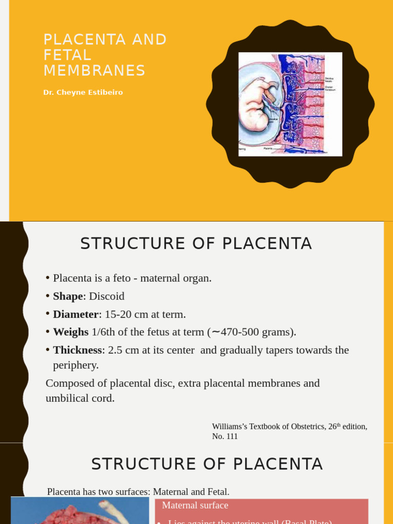 Placenta | PDF | Placenta | Human Chorionic Gonadotropin