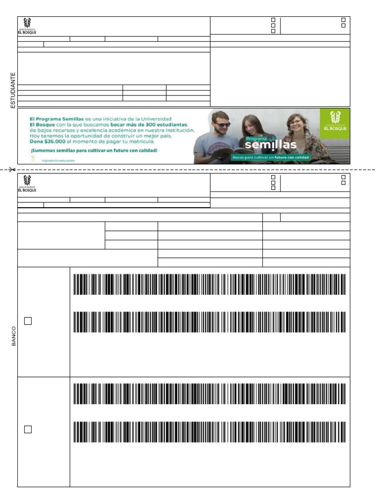 6 Sem Sin Electiva | PDF
