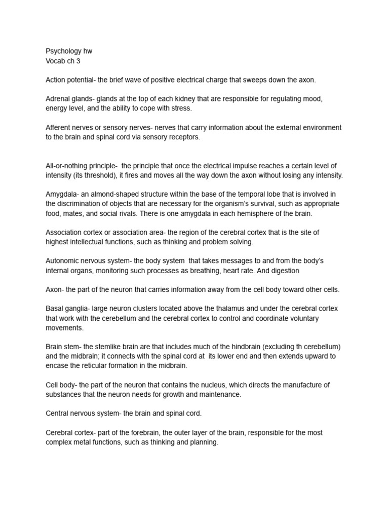 Psychology HW CH 3 Vocab | PDF | Nervous System | Brain