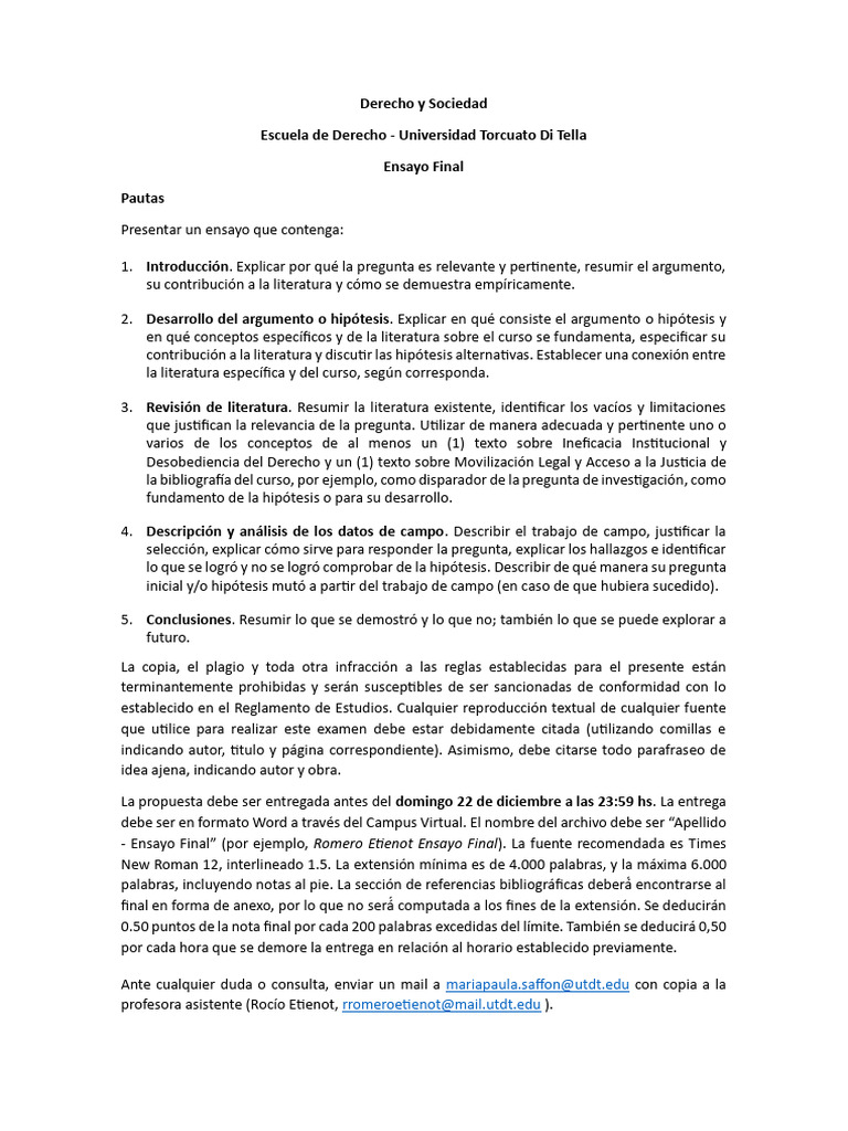 Pautas para Ensayo Final de Derecho | PDF | Hipótesis | Ensayos