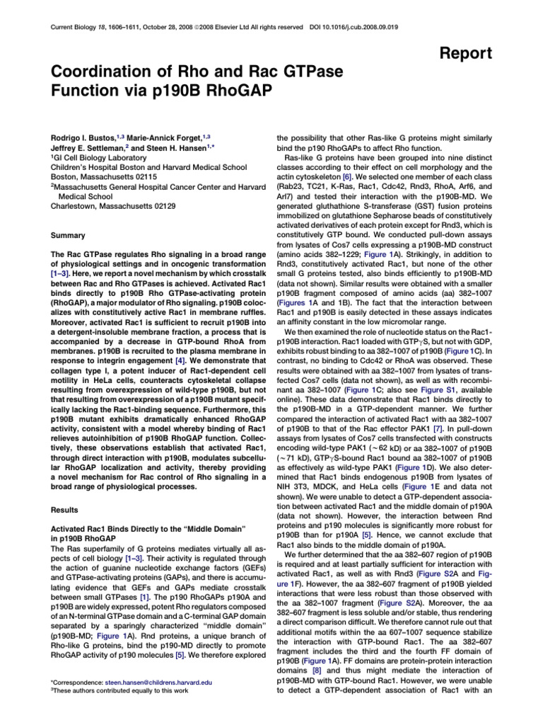 Coordination-of-Rho-and-Rac-GTPase-Function-via-p1 | PDF | Molecular ...