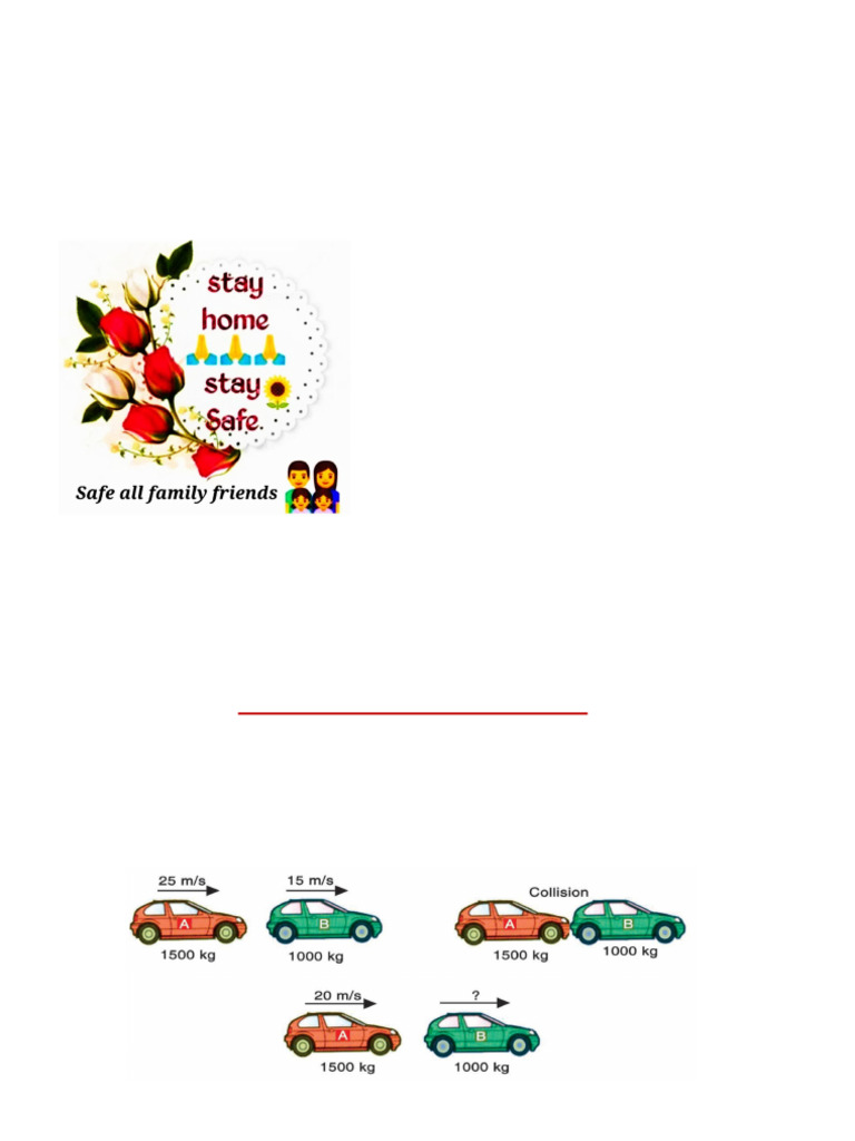 CBSE Class IX Science Momentum Case Study | PDF | Momentum | Collision