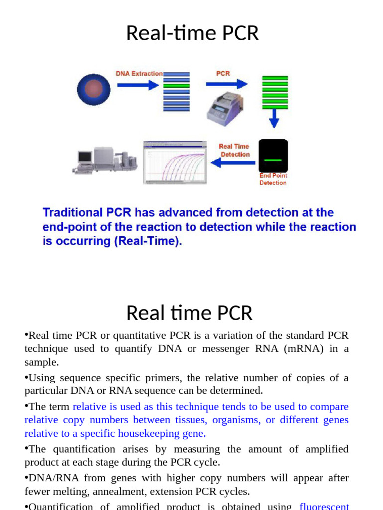 Real time PCR | PDF | Real Time Polymerase Chain Reaction | Polymerase Chain Reaction