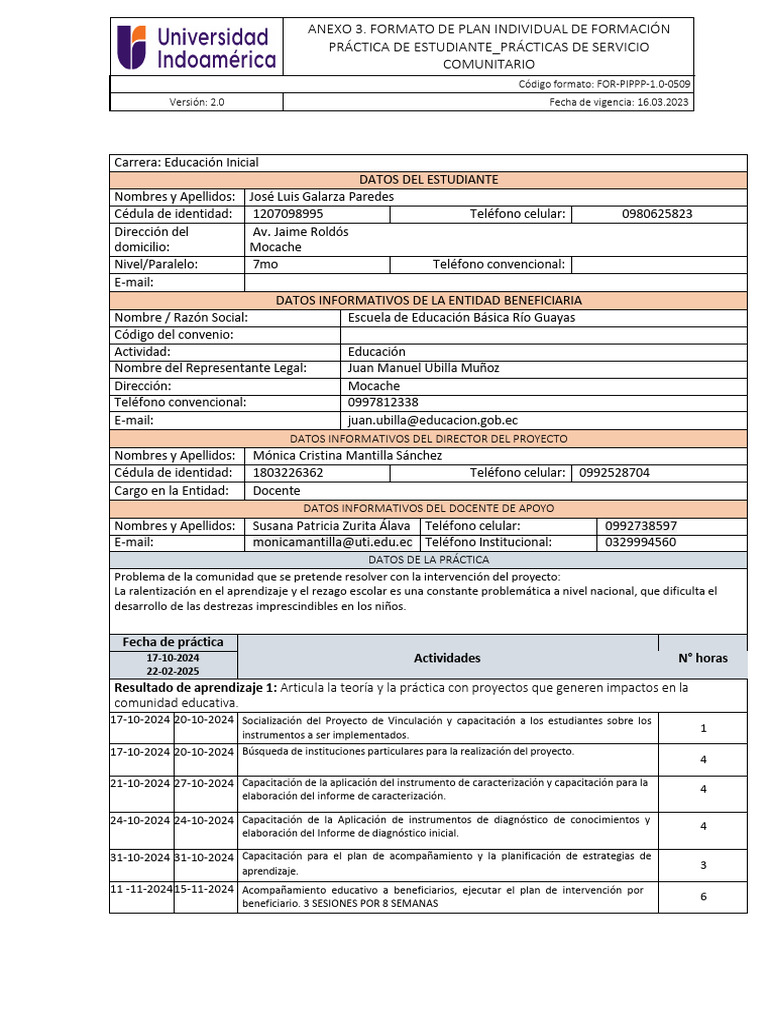 Plan Individual de La Práctica | PDF