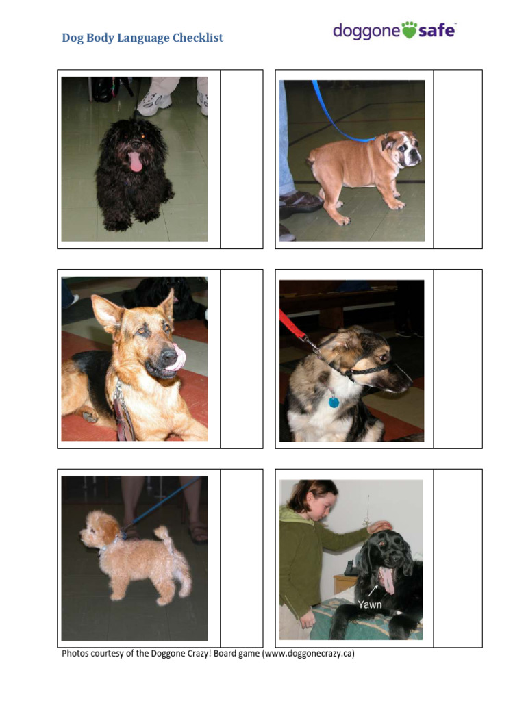 Dog Body Language Checklist Child-1 | PDF
