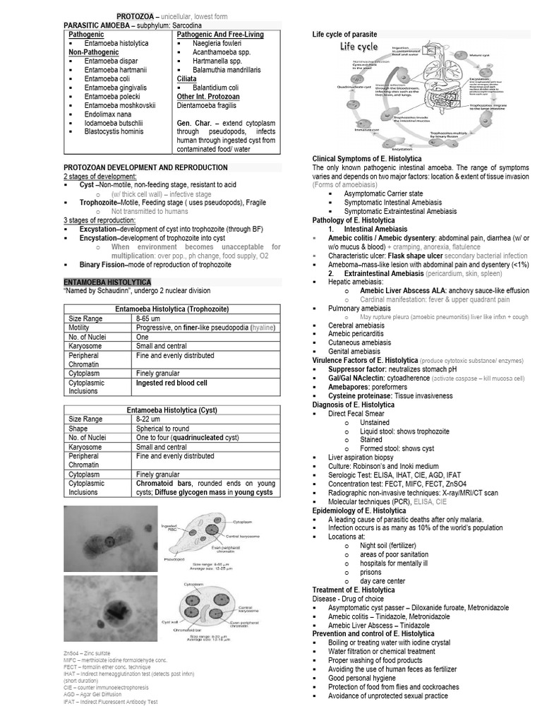2 to 10 Parasites | PDF | Microbiology | Medical Specialties