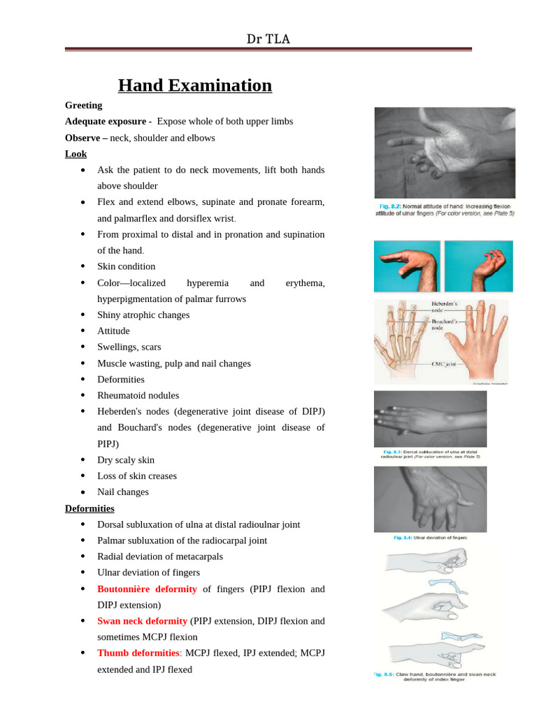 Hand_580ea466-9e72-4765-97e7-2cd1bbfd8279 | PDF | Anatomical Terms Of Motion | Hand
