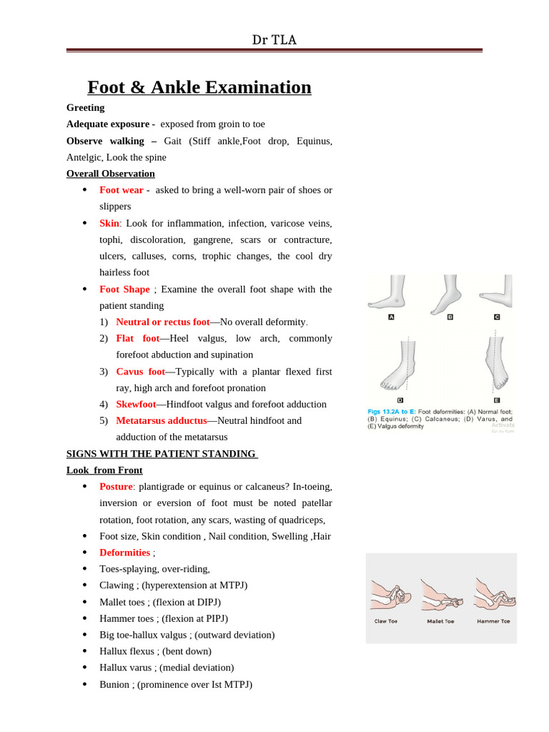Foot & Ankle | PDF | Foot | Anatomical Terms Of Motion