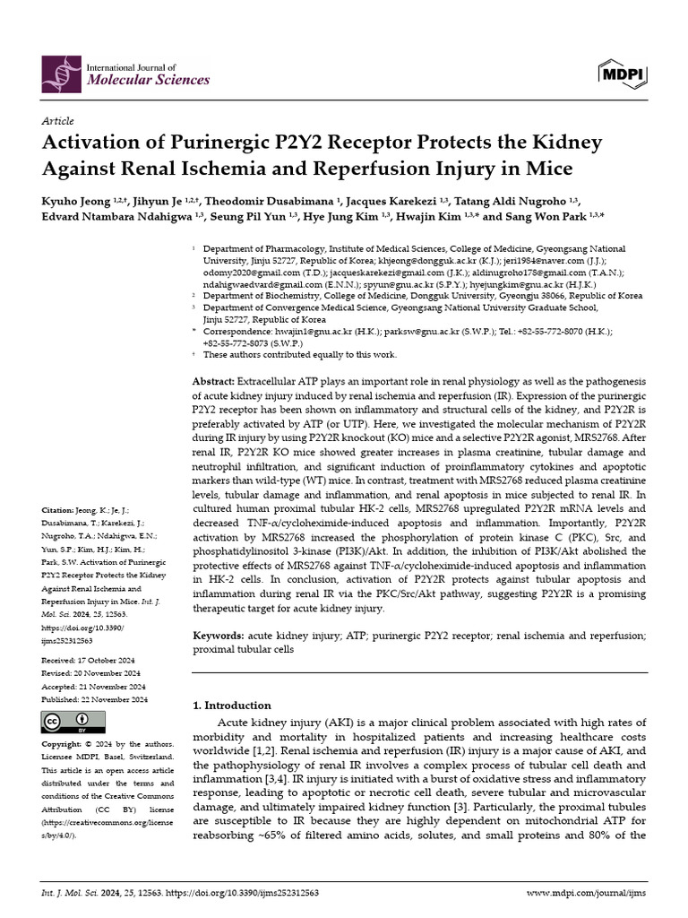 Activation of Purinergic P2Y2 Receptor Protects TH | PDF | Kidney ...