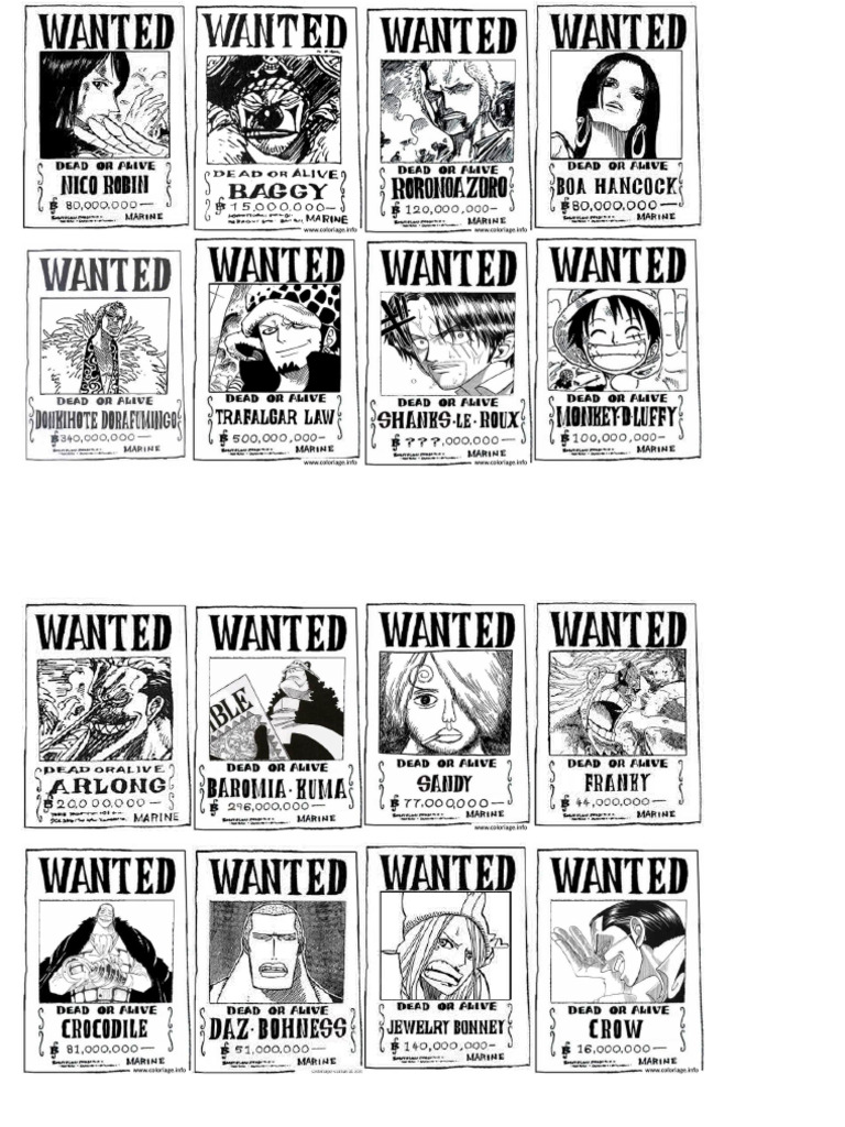 Wanted Onepiece | PDF