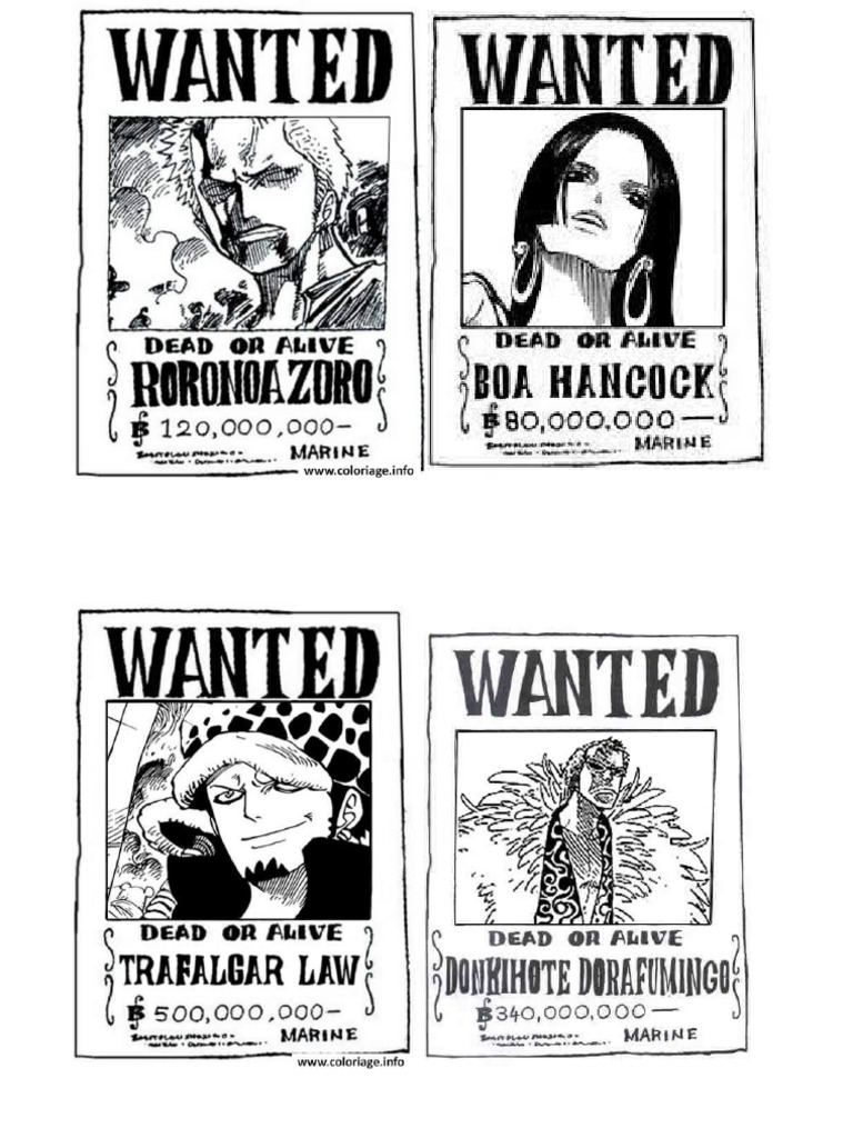 wanted onepiece | PDF