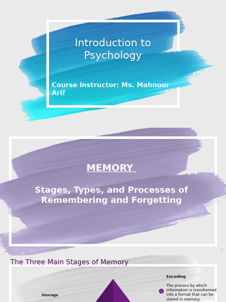 IPT Week 6 | PDF | Memory | Recall (Memory)