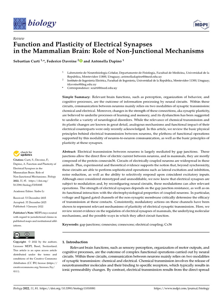 Function and Plasticity of Electrical Synapses in The Mammalian Brain ...