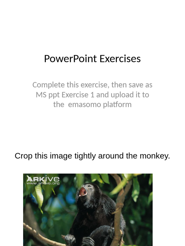 Ms Powerppoint Exercise 1 | PDF