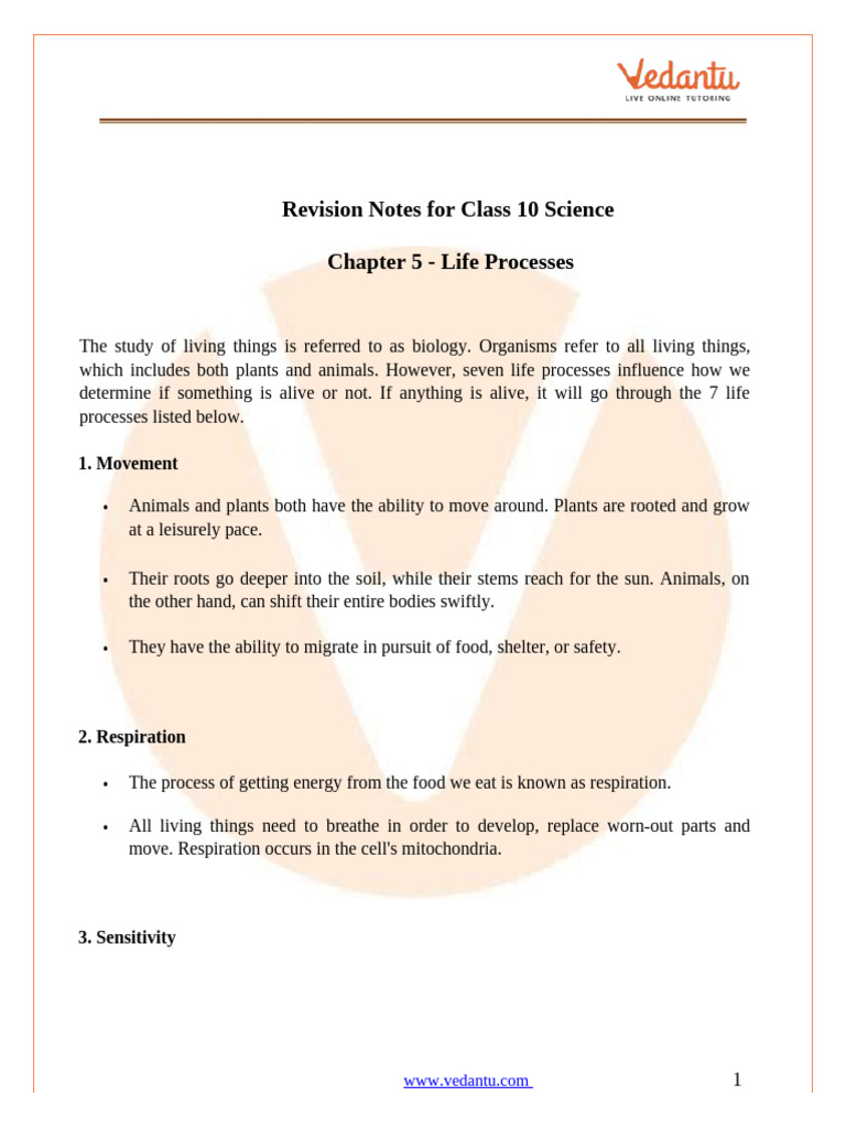 Class 10 Science: Life Processes Overview | PDF | Digestion | Cellular ...
