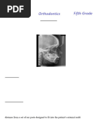 Lateral Cephalometric X-ray | PDF | Dentistry Branches