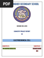 Chemistry Project On Electrochemical Cell | PDF | Redox | Electrochemistry