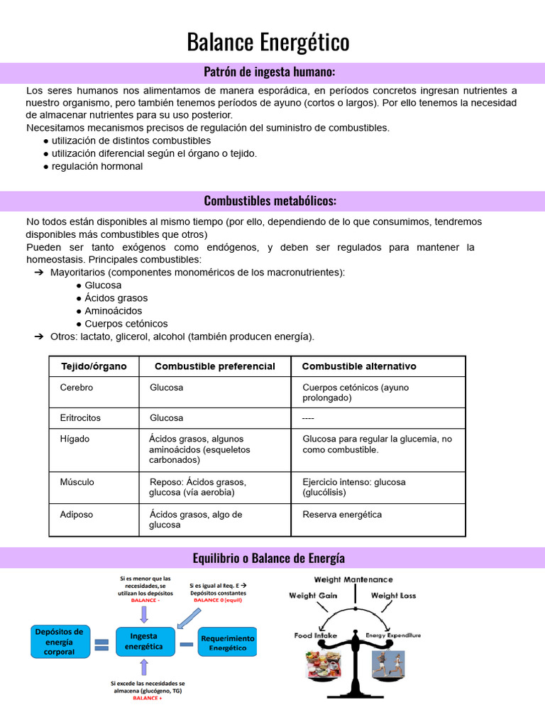 Balance Energético | PDF | Nutrientes | Glucógeno
