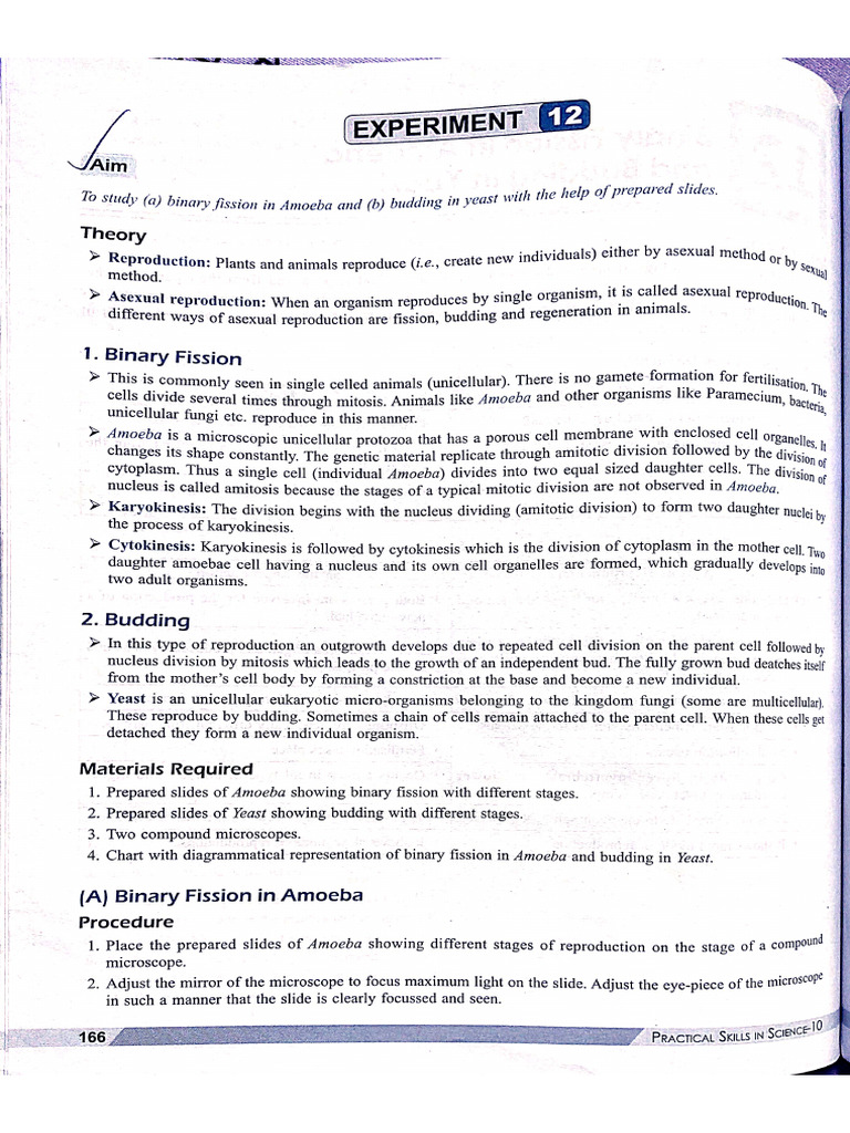 Biology Experiment - 3(Binary Fussion in Amoeba & Budding in Yeast) | PDF